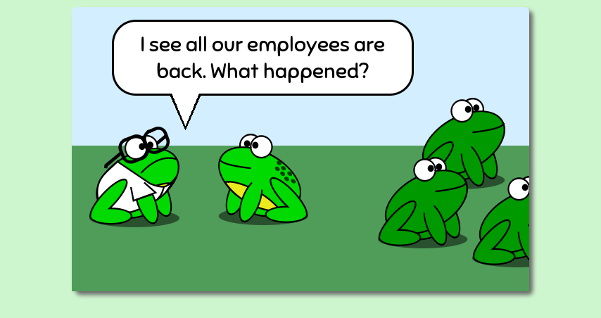 Amphibian.com - Toad Away