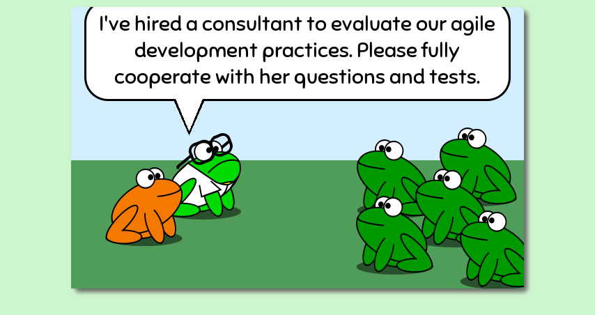 Amphibian.com - Dodging the Question