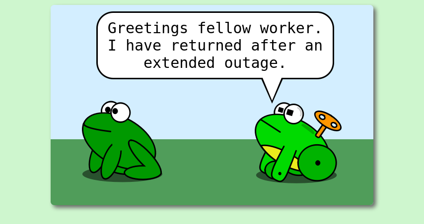 Amphibian.com - Spring Break